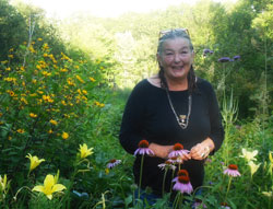 Who we are Now 2013 Laureen Shea